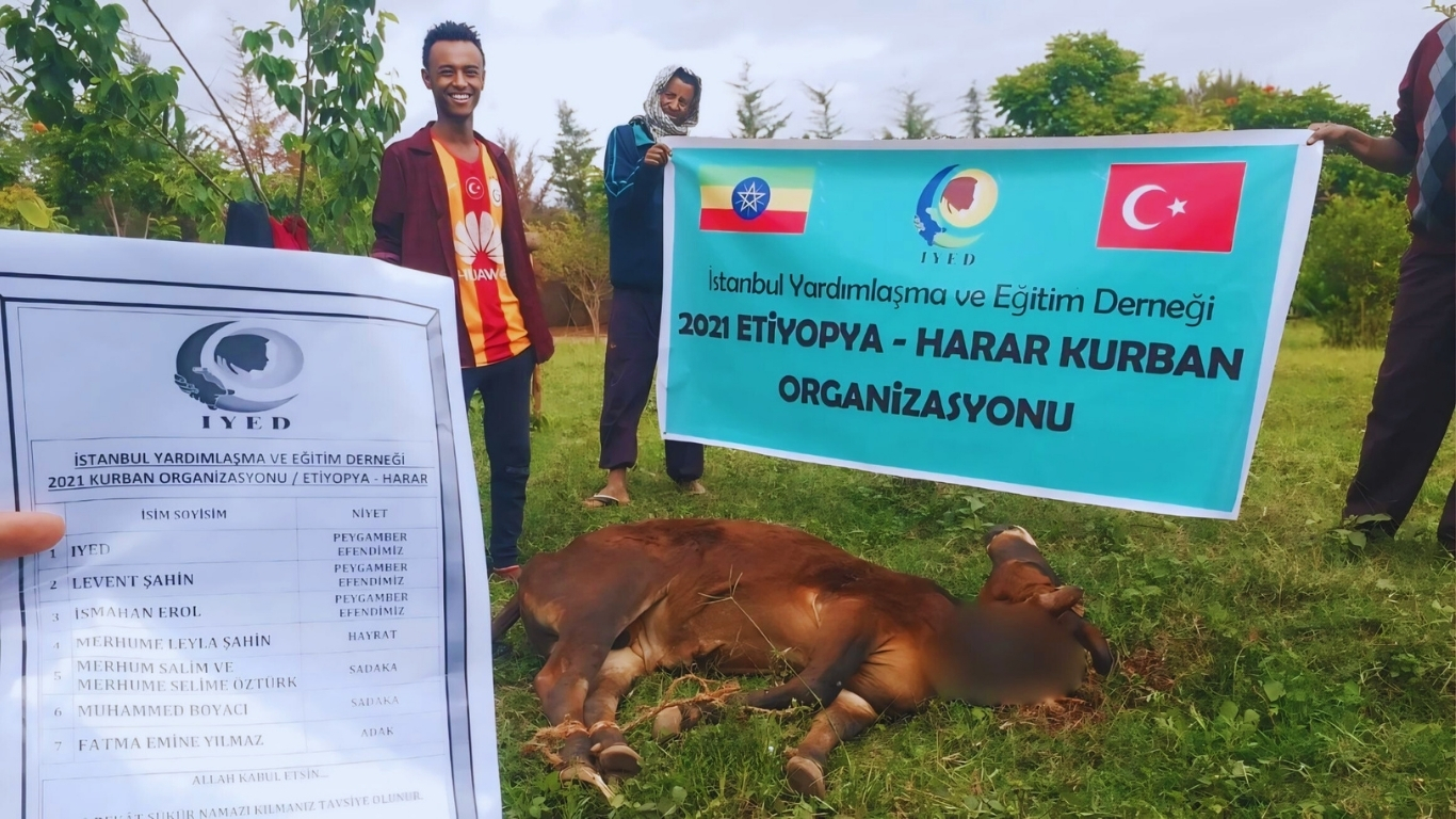 Kurban Bağışları – İYED – İstanbul Yardımlaşma Derneği